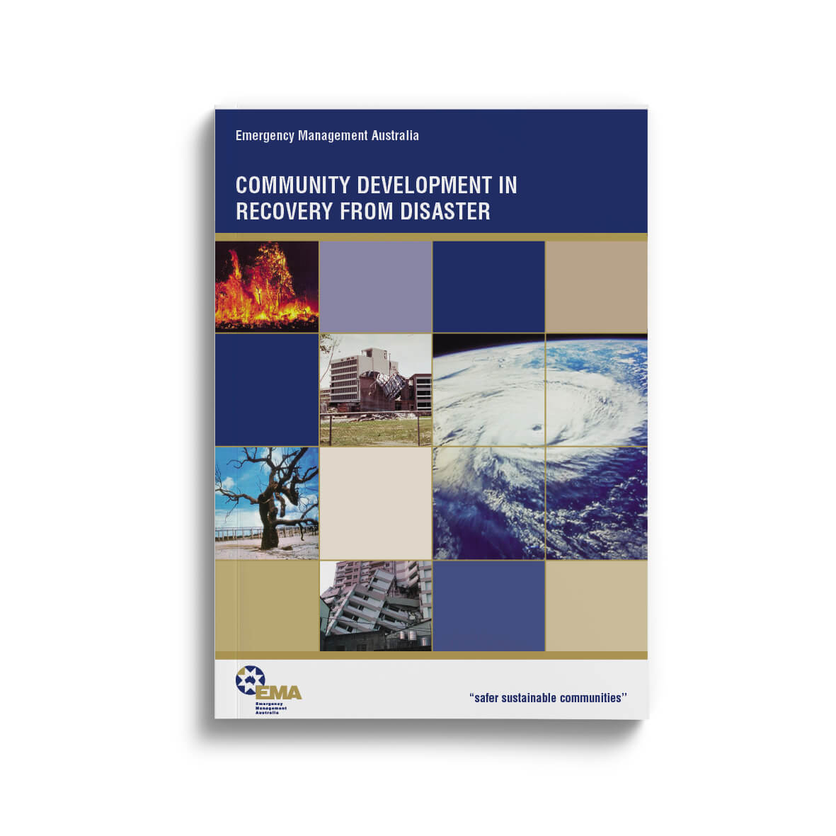 Community Development In Recovery from Disaster - Neighbourhood Centres ...