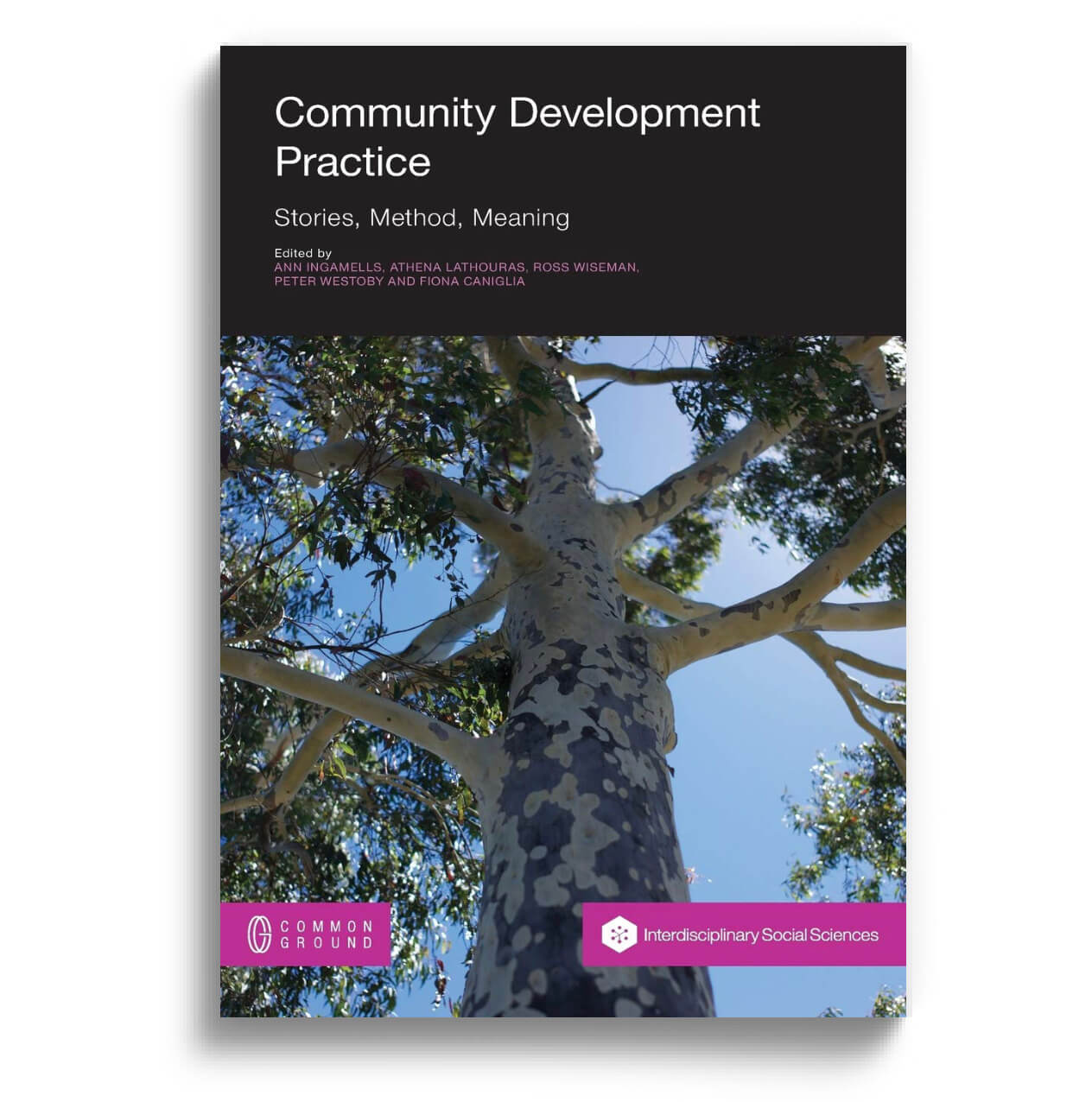 Community Development Practice: Chapter 2 - Developmental Community ...