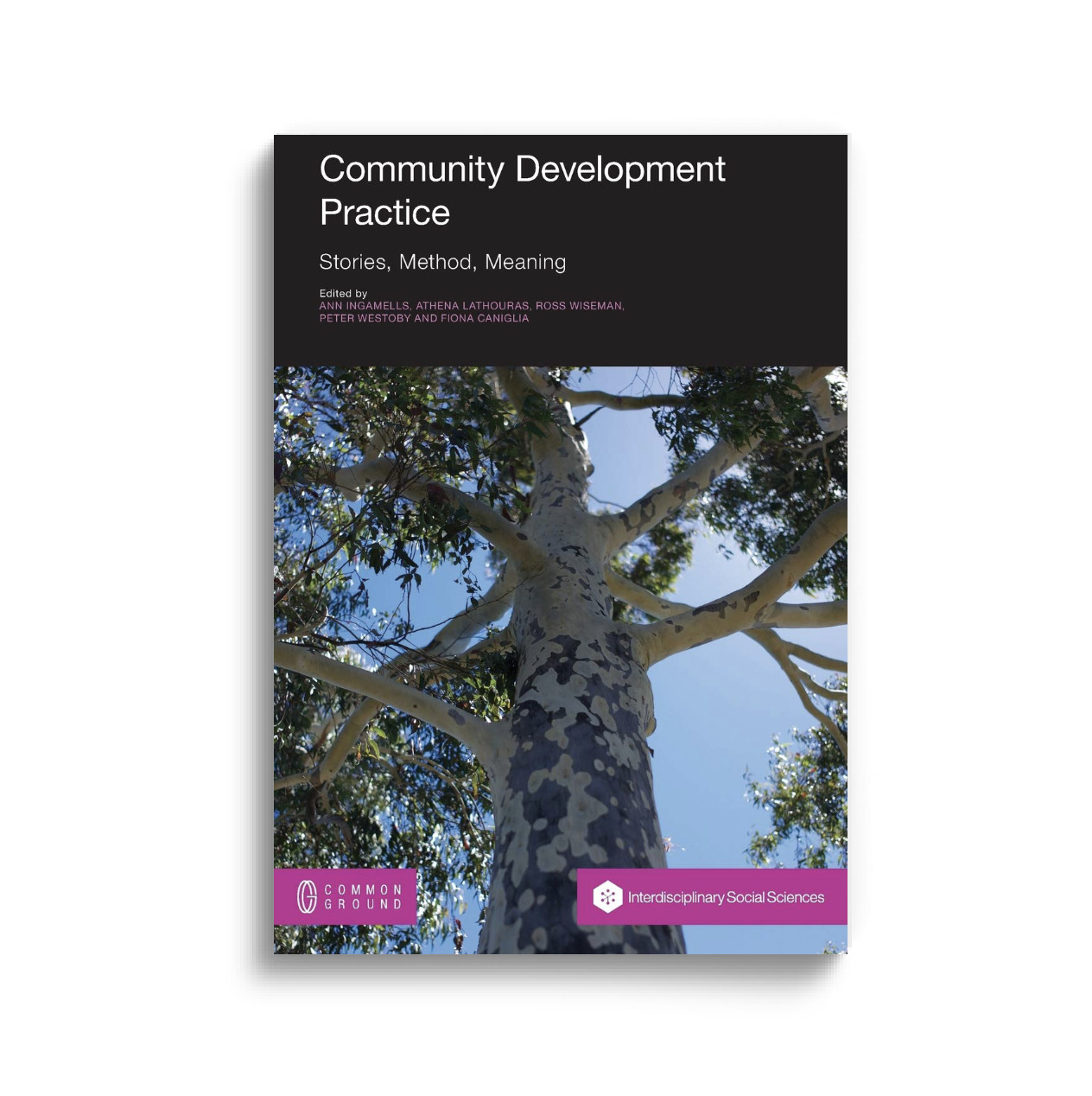 Community Development Practice: Chapter 2 - Developmental Community Work, A Method ...
